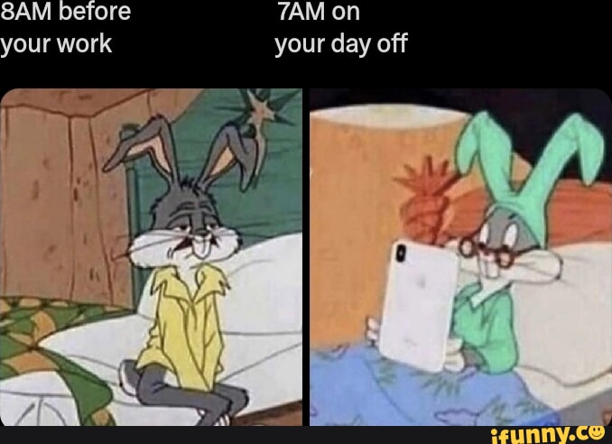 Mern memes. Best Collection of funny Mern pictures on iFunny