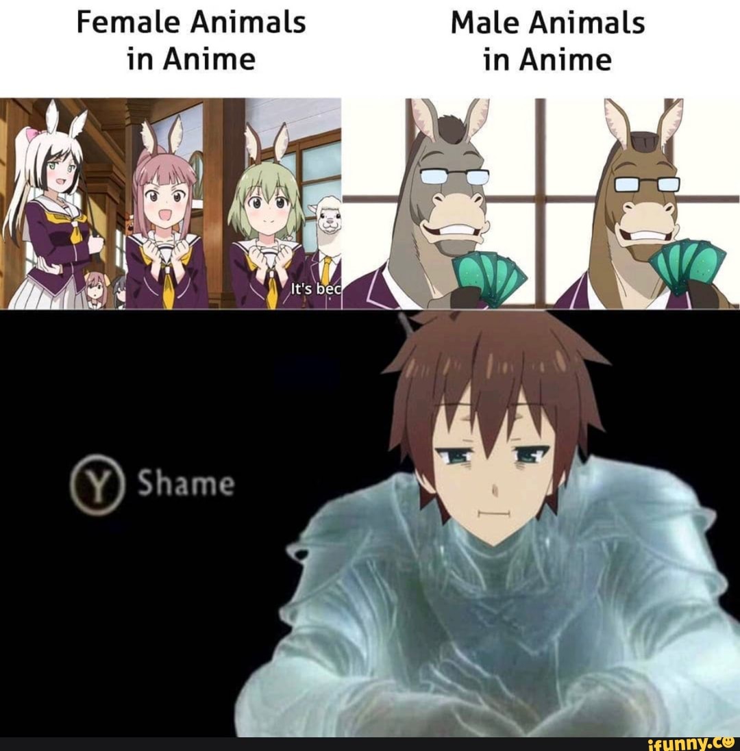 Female Animals Male Animals in Anime in Anime AS Shame - iFunny