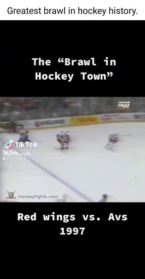 Hockey Memes Red Wings