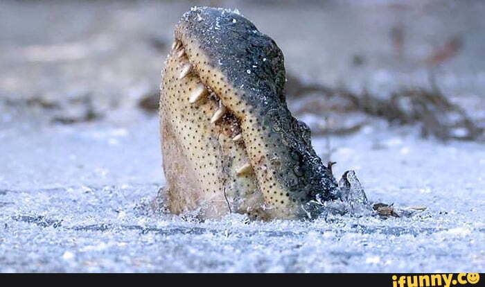 Cryogenics memes. Best Collection of funny Cryogenics pictures on iFunny