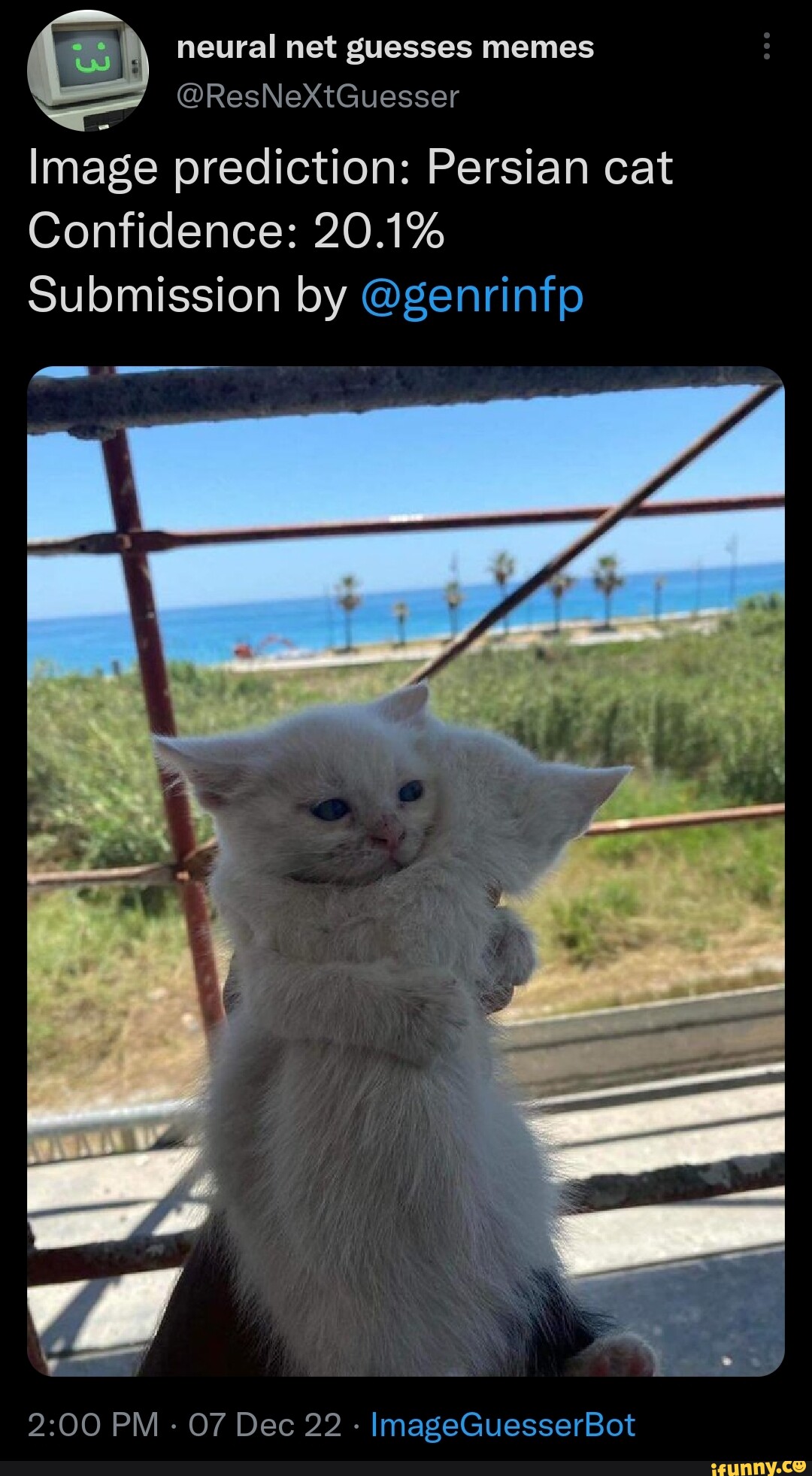 Neural net guesses memes @ResNeXtGuesser Image prediction: Persian cat ...