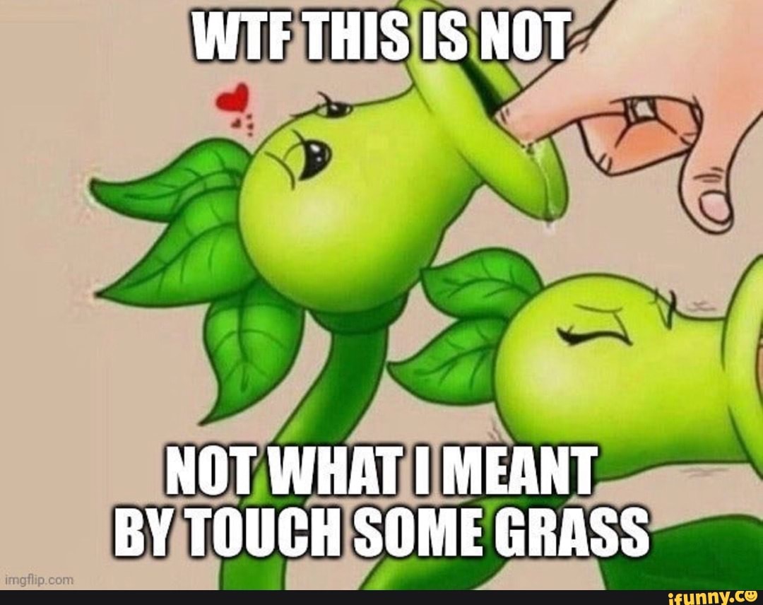 WTF THIS IS NOT NOT WHAT I MEANT BY TOUCH SOME GRASS IFunny