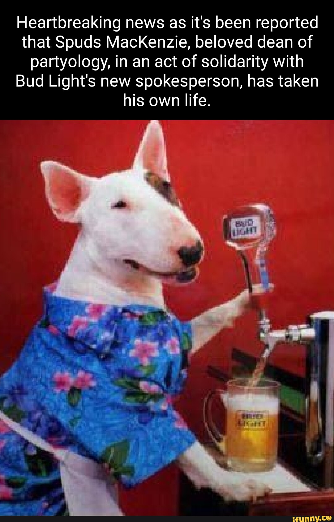 Heartbreaking news as it's been reported that Spuds MacKenzie, beloved ...