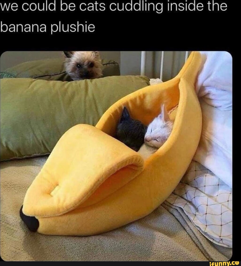 Cuddling memes. Best Collection of funny Cuddling pictures on iFunny