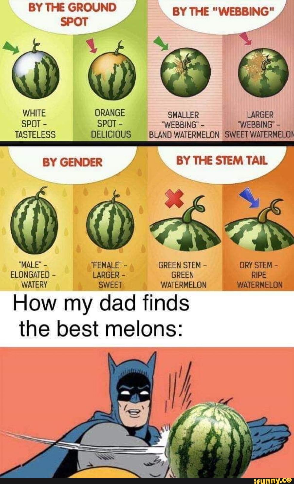 BY THE GROUND BY THE "WEBBING" / SPOT WHITE ORANGE SMALLER LARGER SPOT ...