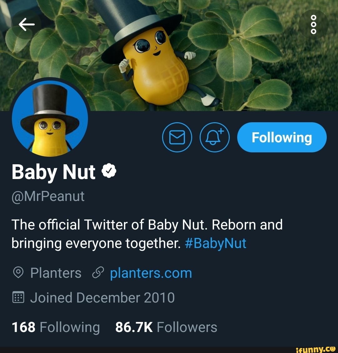 The official Twitter of Baby Nut. Reborn and bringing everyone together ...