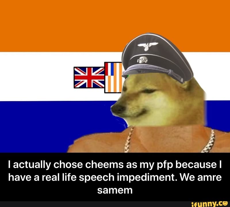 L actually chose cheems as my pfp because I have a real life speech ...