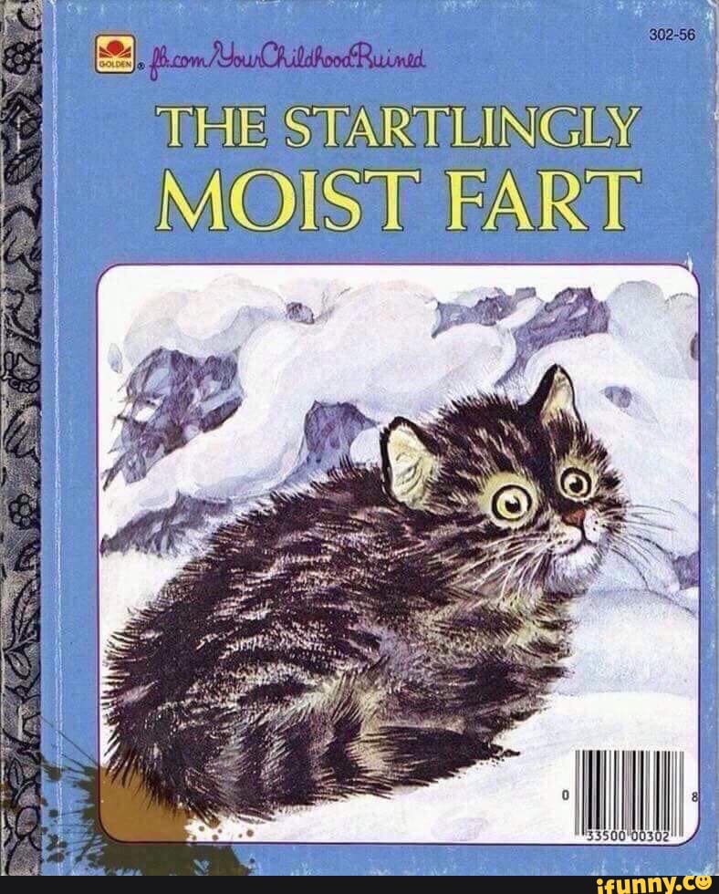 THE STARTLINGLY I MOIST FART - iFunny