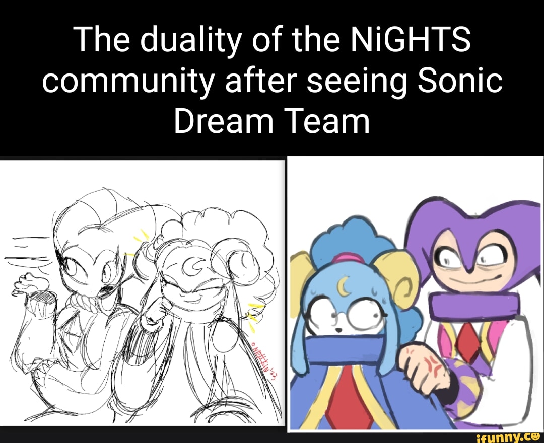 The duality of the NiGHTS community after seeing Sonic Dream Team - iFunny