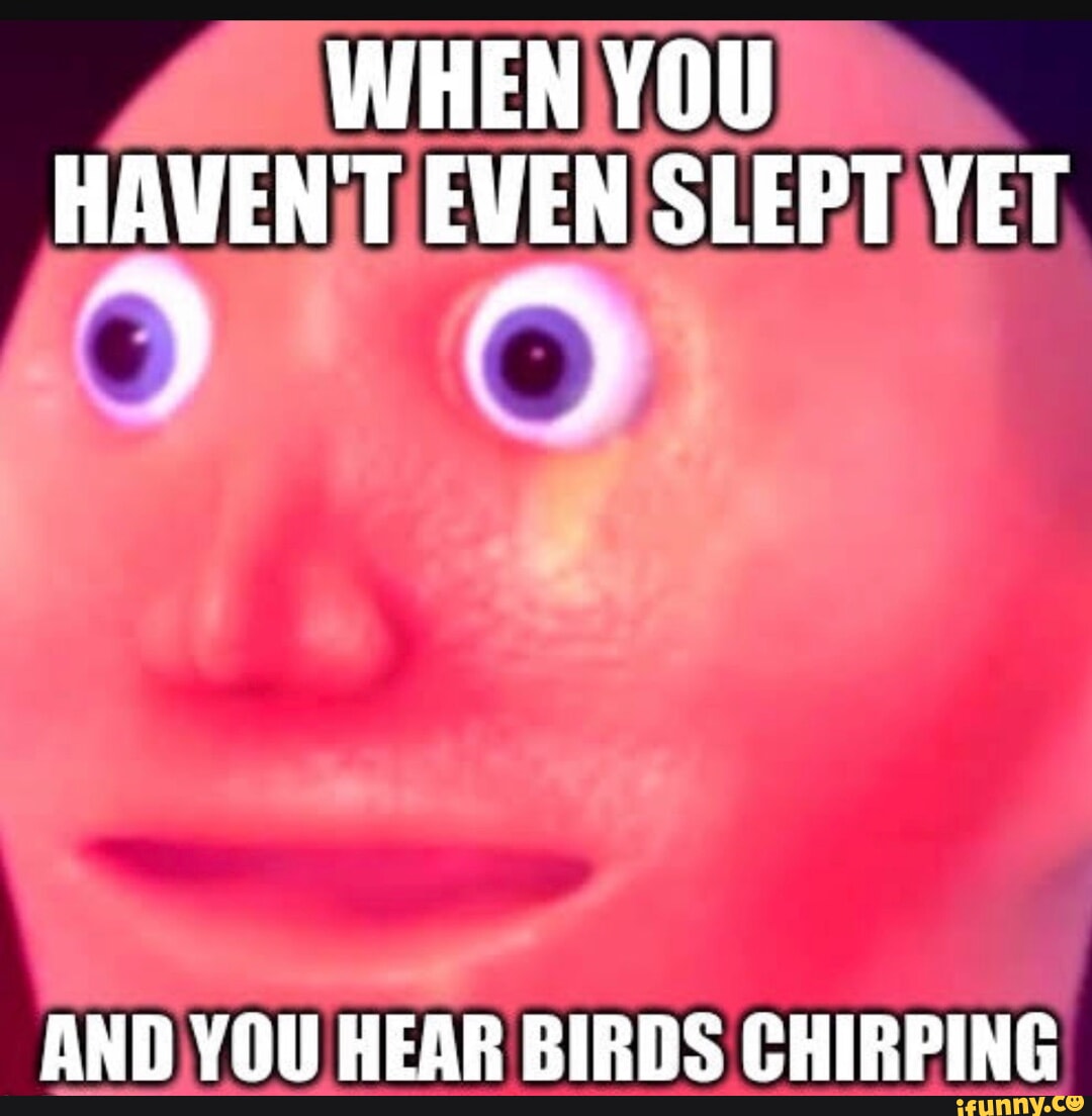 Chirping memes. Best Collection of funny Chirping pictures on iFunny