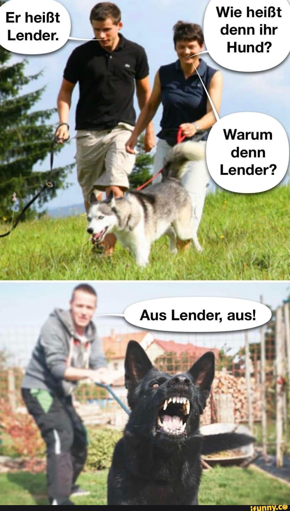 Tiere und Natur Memes – Keke Memes. Die besten Memes auf Keke