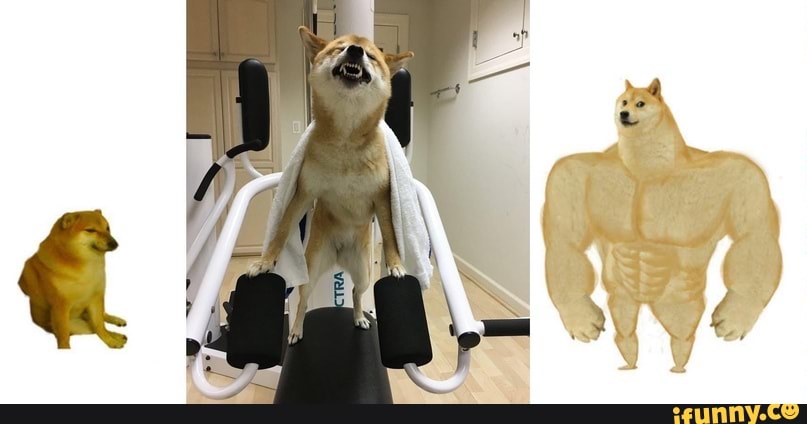 Chims memes. Best Collection of funny Chims pictures on iFunny