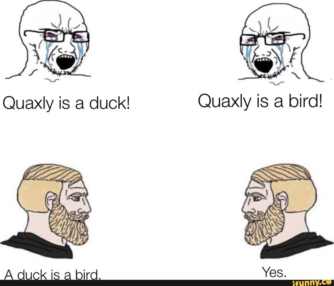 Quaxly memes. Best Collection of funny Quaxly pictures on iFunny