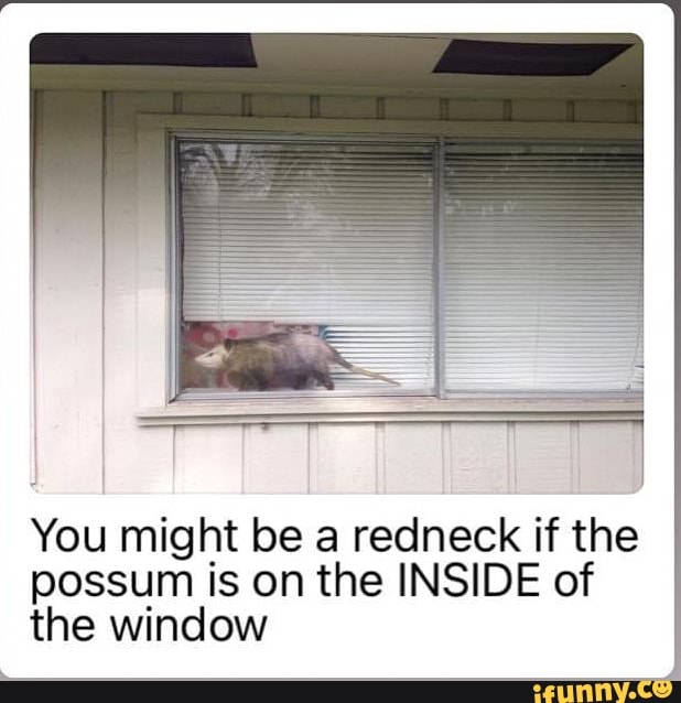 You might be a redneck if the possum is on the INSIDE of the window ...