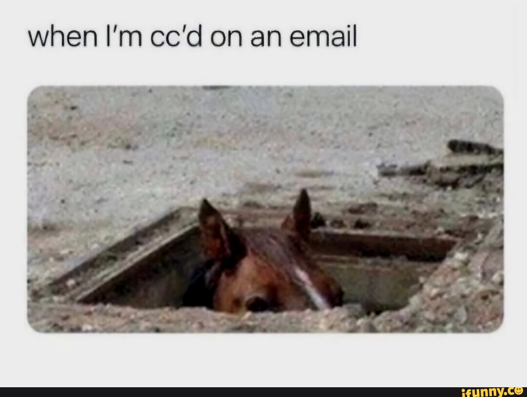 Outlook memes. Best Collection of funny Outlook pictures on iFunny