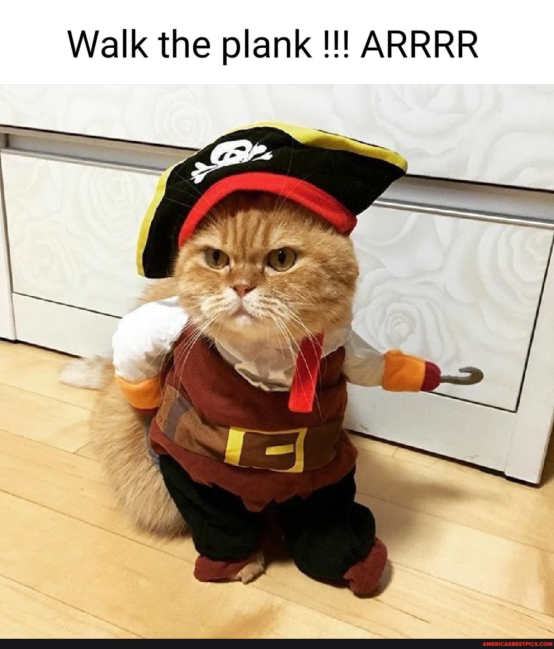 Arrrr memes. Best Collection of funny Arrrr pictures on America’s best ...