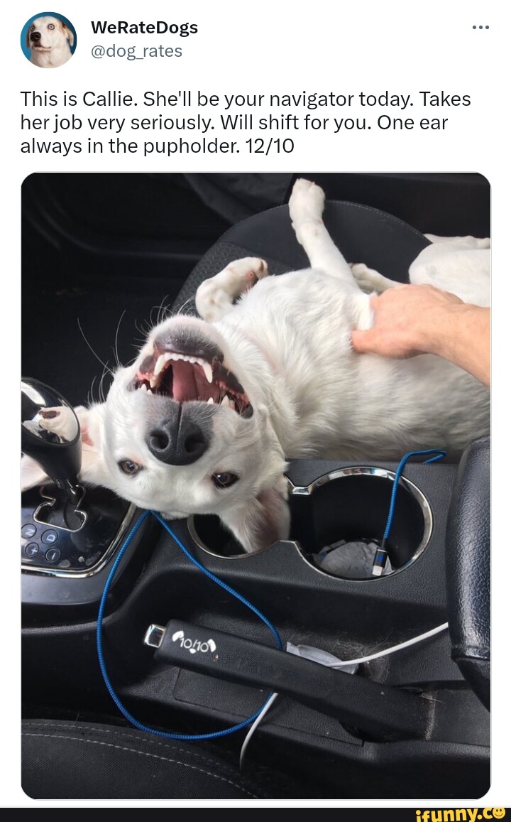 Navigator memes. Best Collection of funny Navigator pictures on iFunny