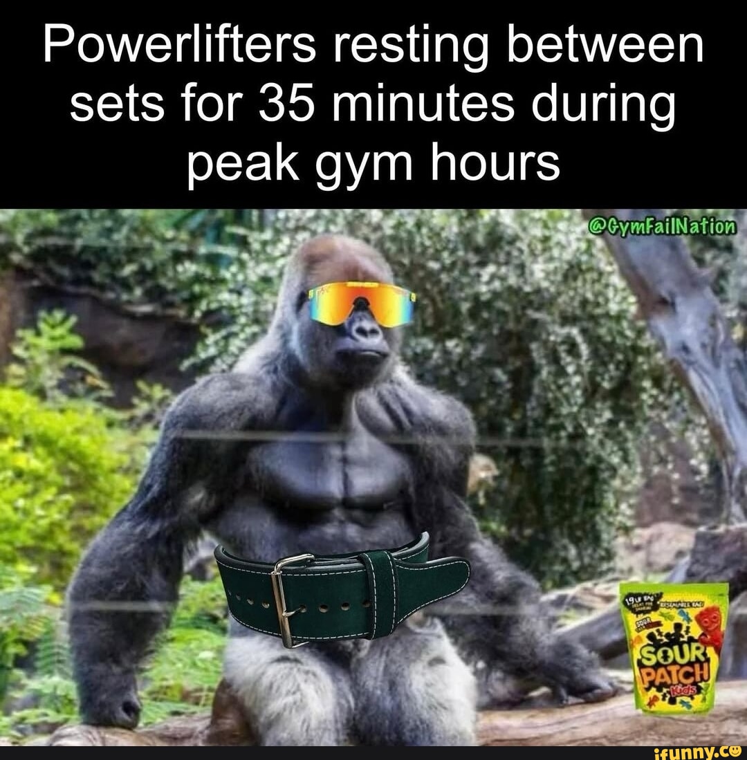 Powerlifters memes. Best Collection of funny Powerlifters pictures on ...