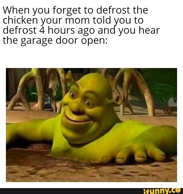 When you forget to defrost the chicken your mom told you to defrost 4 ...