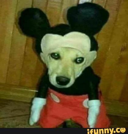 Cursed_cosplay memes. Best Collection of funny Cursed_cosplay pictures ...