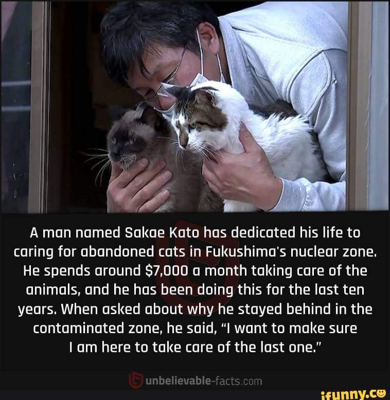 Fukushimas memes. Best Collection of funny Fukushimas pictures on iFunny