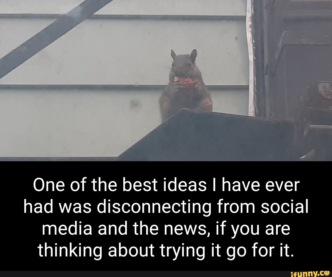 Disconnecting memes. Best Collection of funny Disconnecting pictures on ...