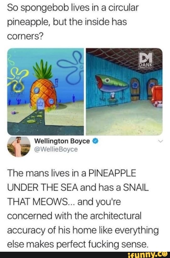 So spongebob lives in a circular pineapple, but the inside has corners ...