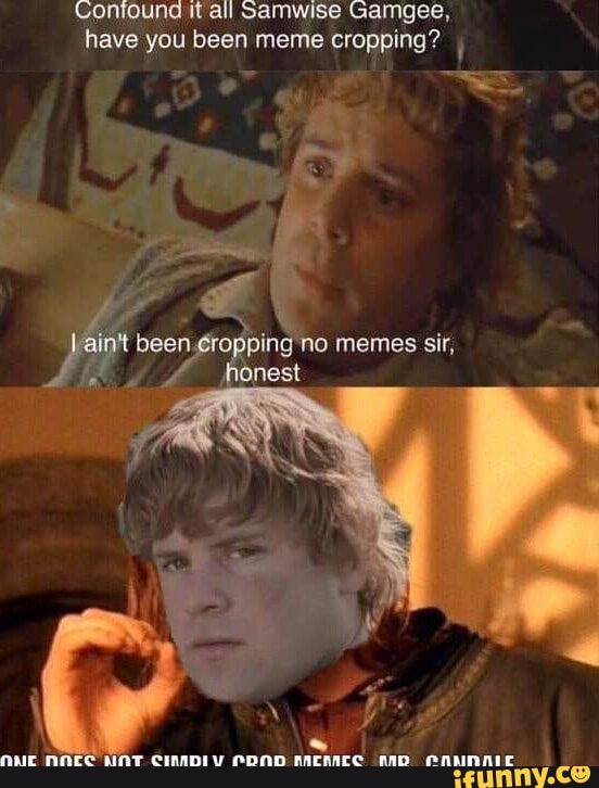 Confound memes. Best Collection of funny Confound pictures on iFunny