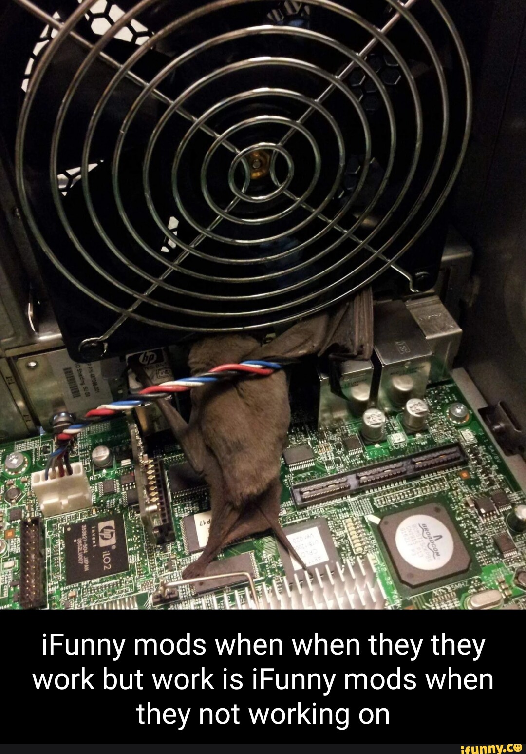 Dpg memes. Best Collection of funny Dpg pictures on iFunny