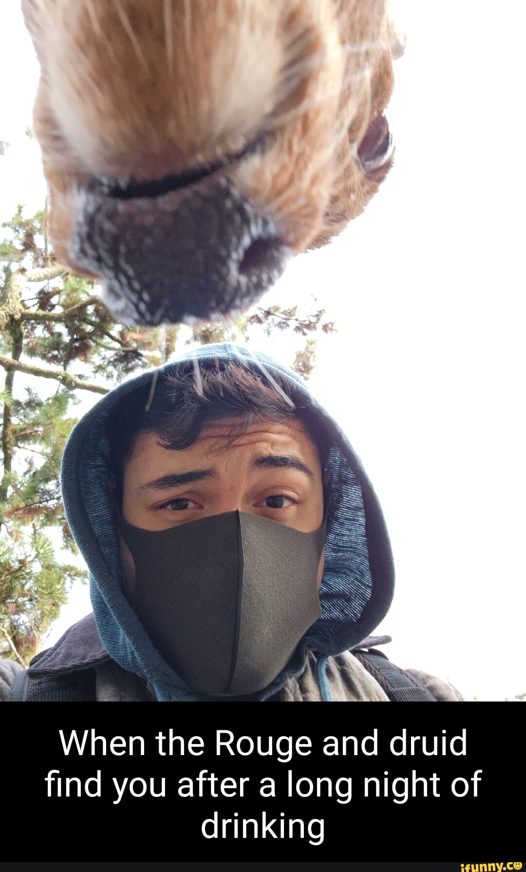 When the Rouge and druid find you after a long night of drinking - iFunny