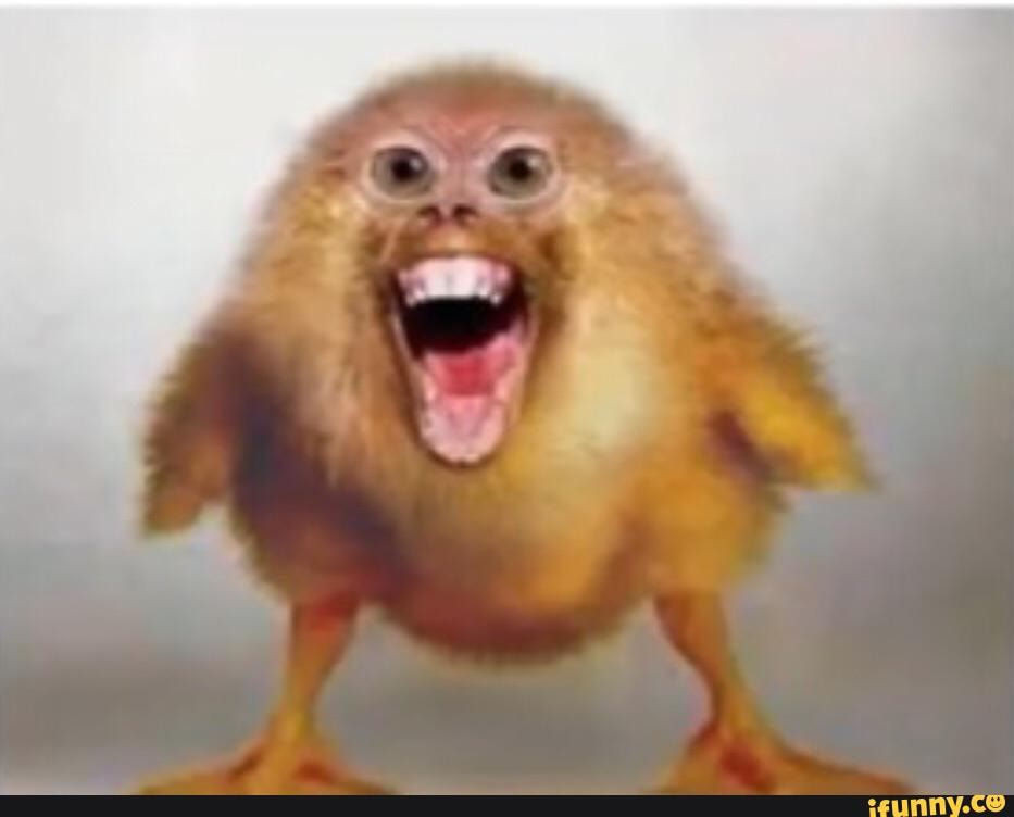 Yaaaa memes. Best Collection of funny Yaaaa pictures on iFunny