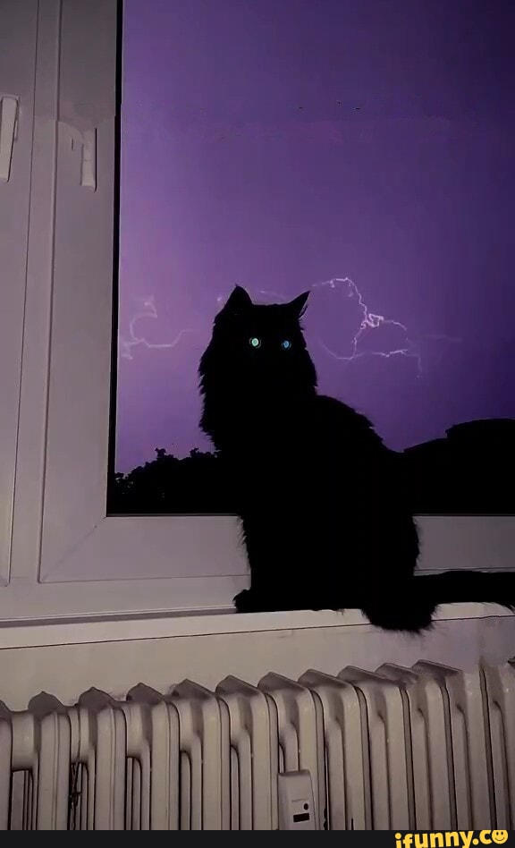 Lightning memes. Best Collection of funny Lightning pictures on iFunny