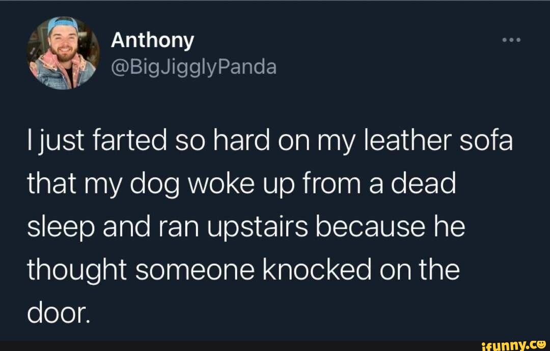 Sofa memes. Best Collection of funny Sofa pictures on iFunny