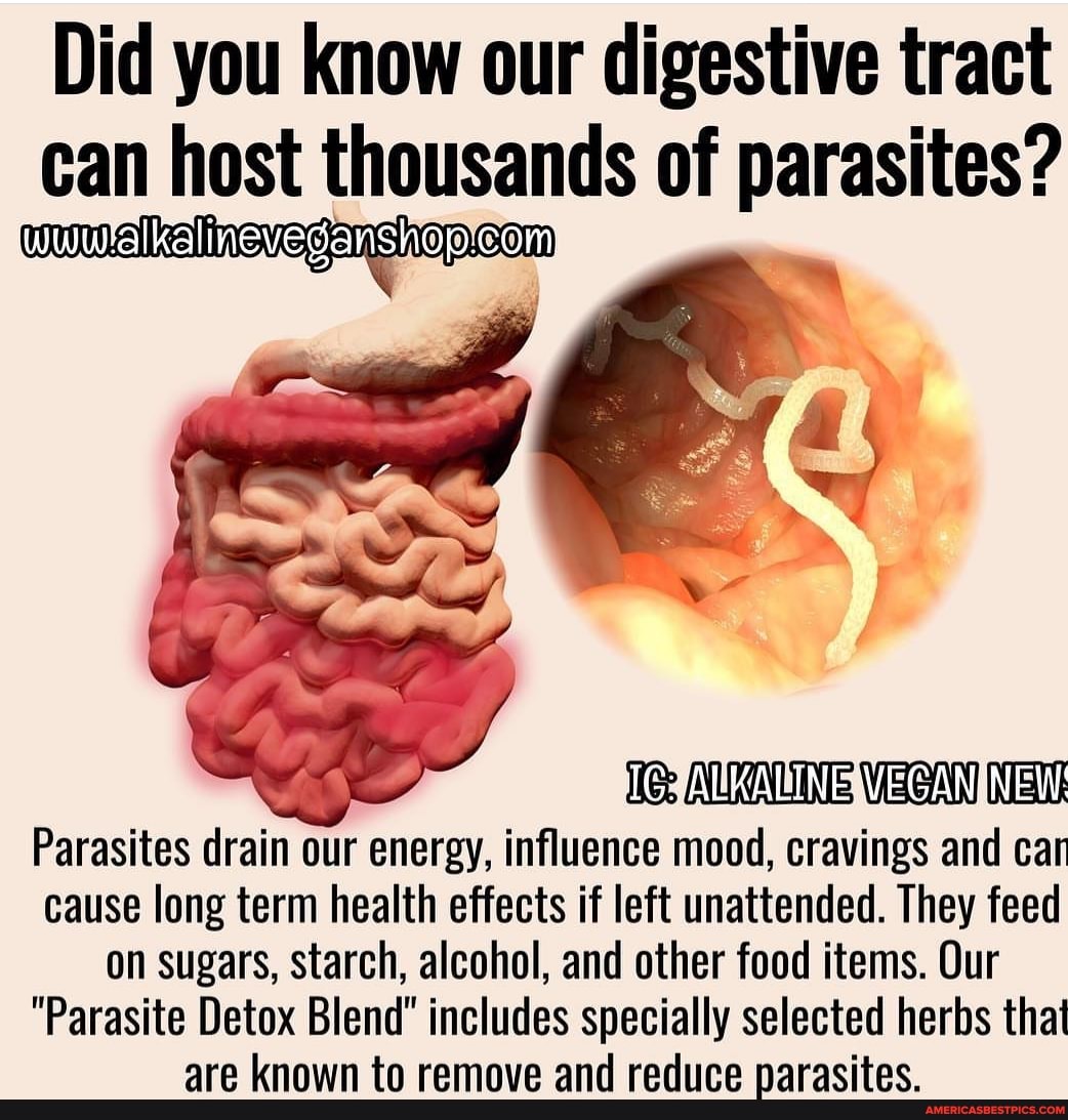Did you know our digestive tract can host thousands of parasites? TC ...