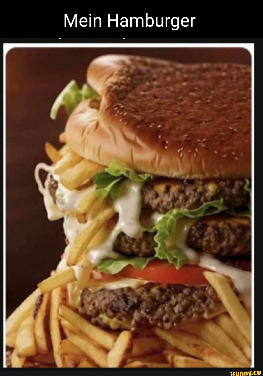 Hamburger memes. Best Collection of funny Hamburger pictures on iFunny