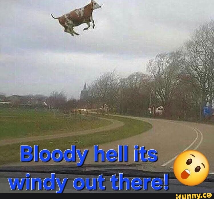 Bloody hell its Windy out - iFunny