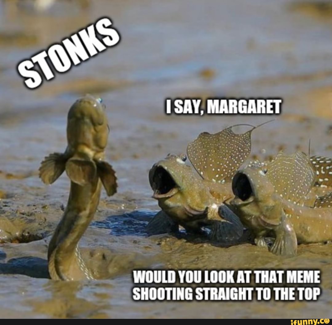 SAY, MARGARET WOULD YOU LOOK AT THAT MEME SHOOTING STRAIGHT TO THE TOP ...