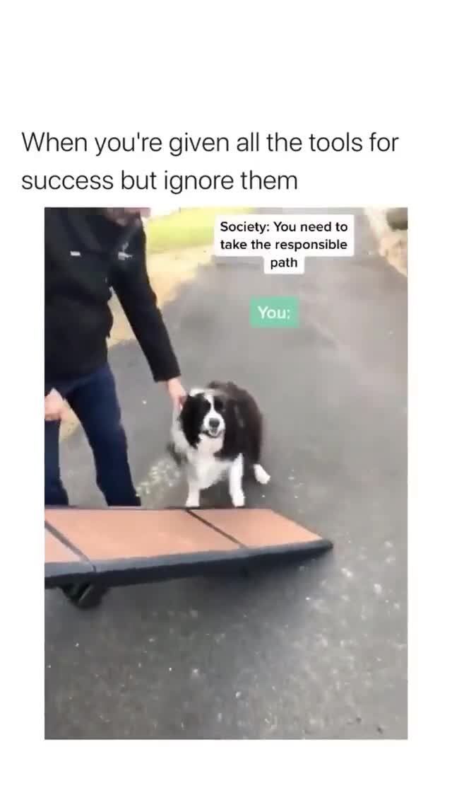 When you're given all the tools for success but ignore them Society ...