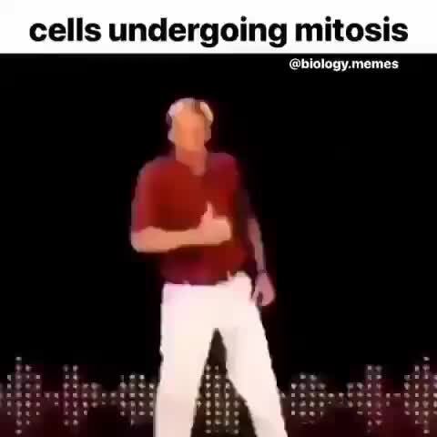 Cells undergoing mitosis @biology.memes - )