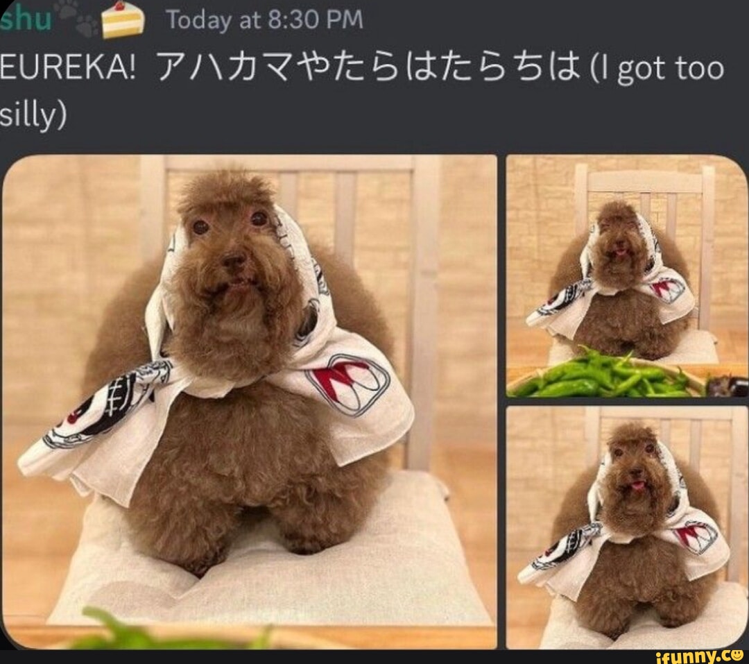 Eureka memes. Best Collection of funny Eureka pictures on iFunny