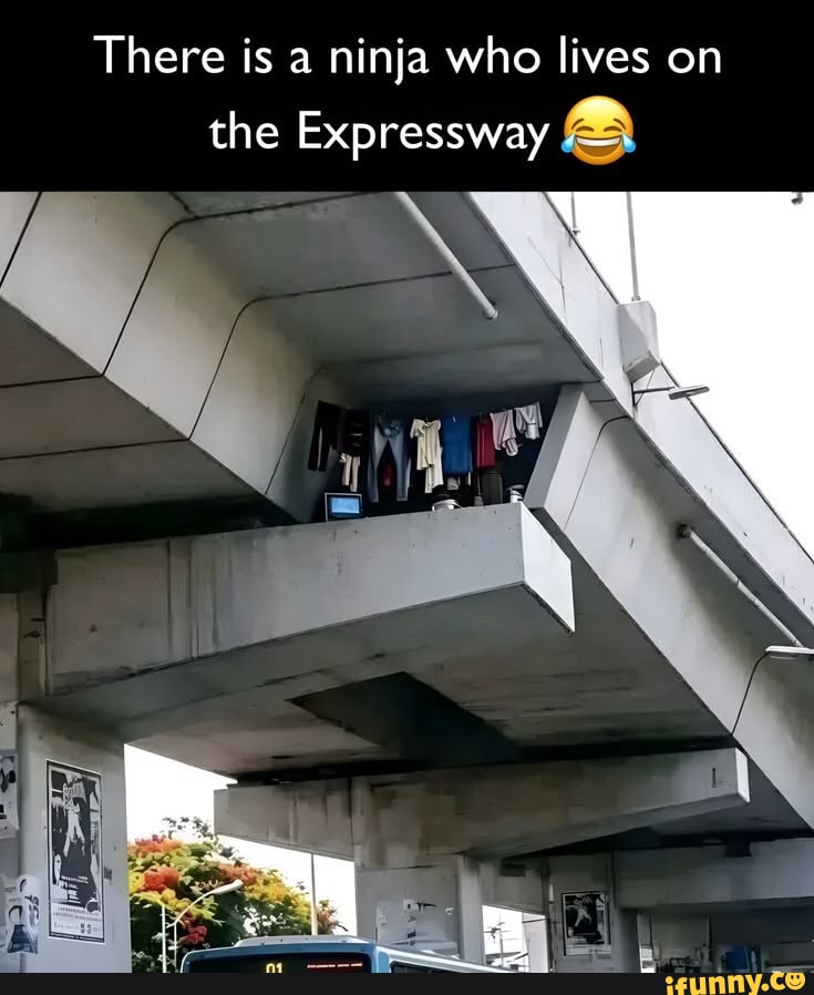 iFunny - the best memes, video, gifs and funny pics in one place