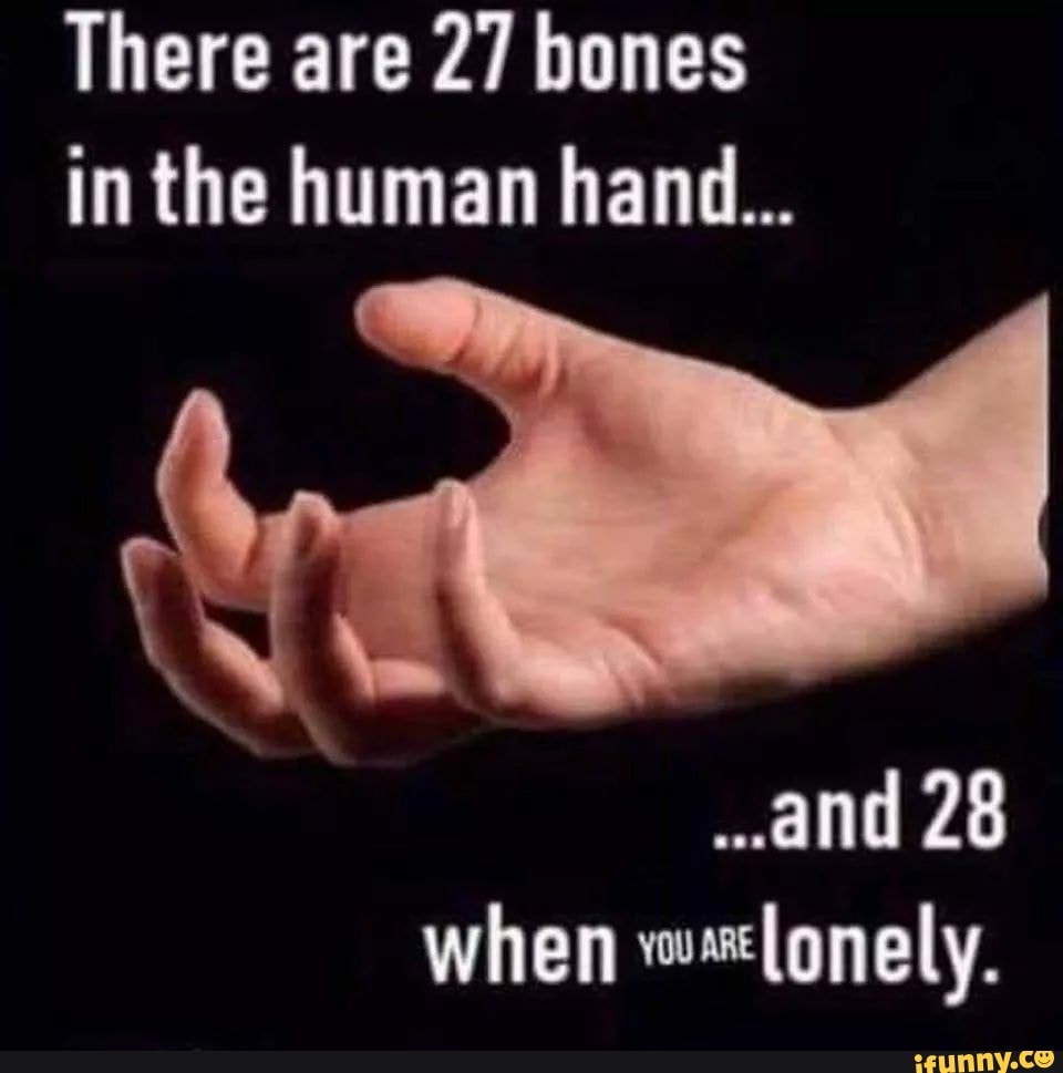 There are 27 bones in the human hand... and 28 when "lonely. - iFunny