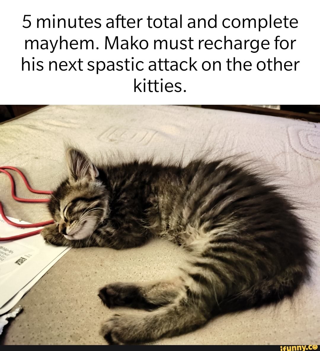 Spastic memes. Best Collection of funny Spastic pictures on iFunny