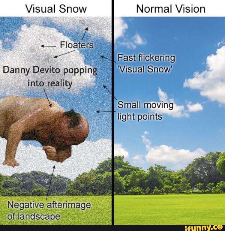 Visual Snow Normal Vision Floaters Danny Devito popping into reality ...