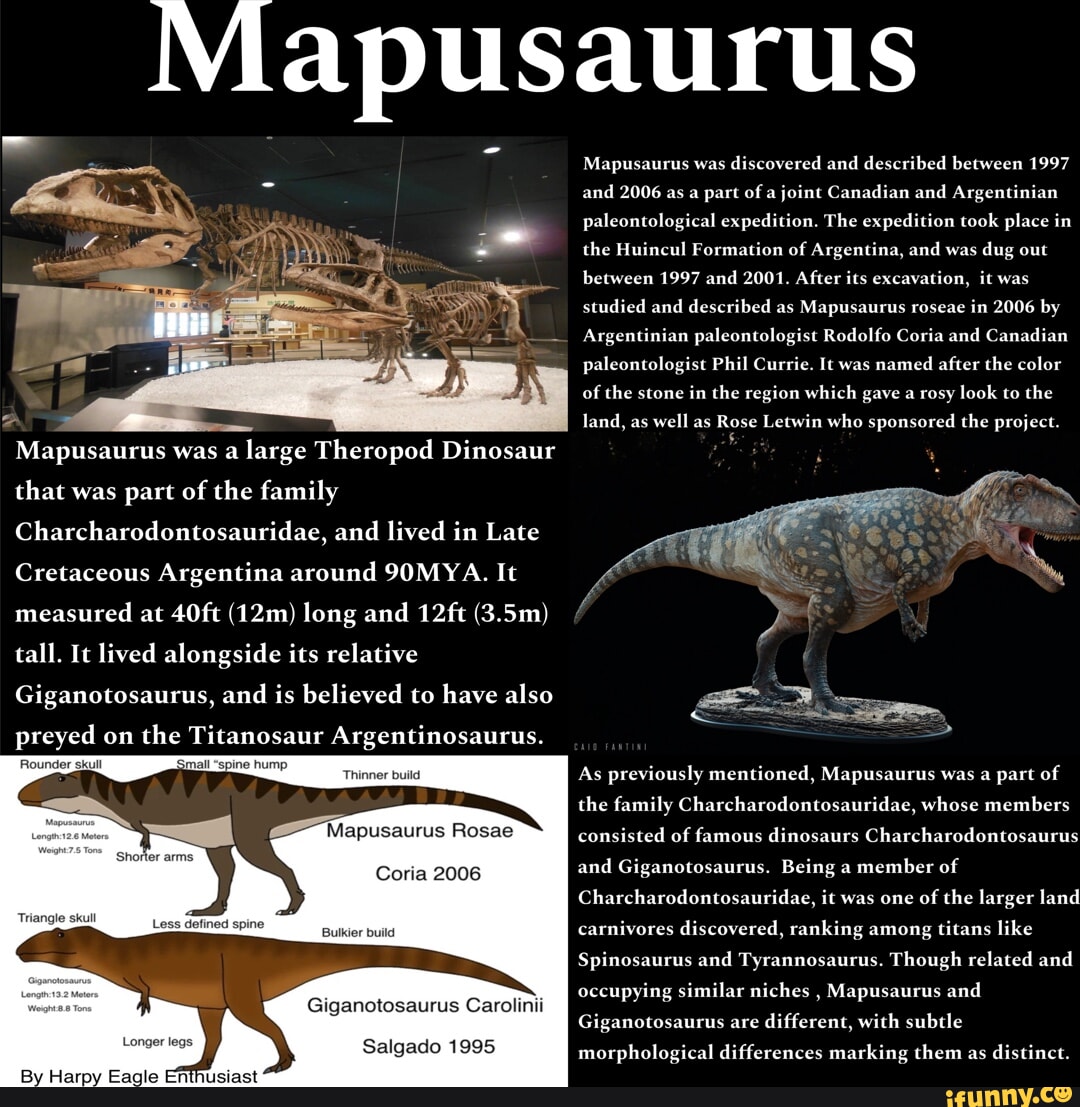 Paleontological memes. Best Collection of funny Paleontological ...