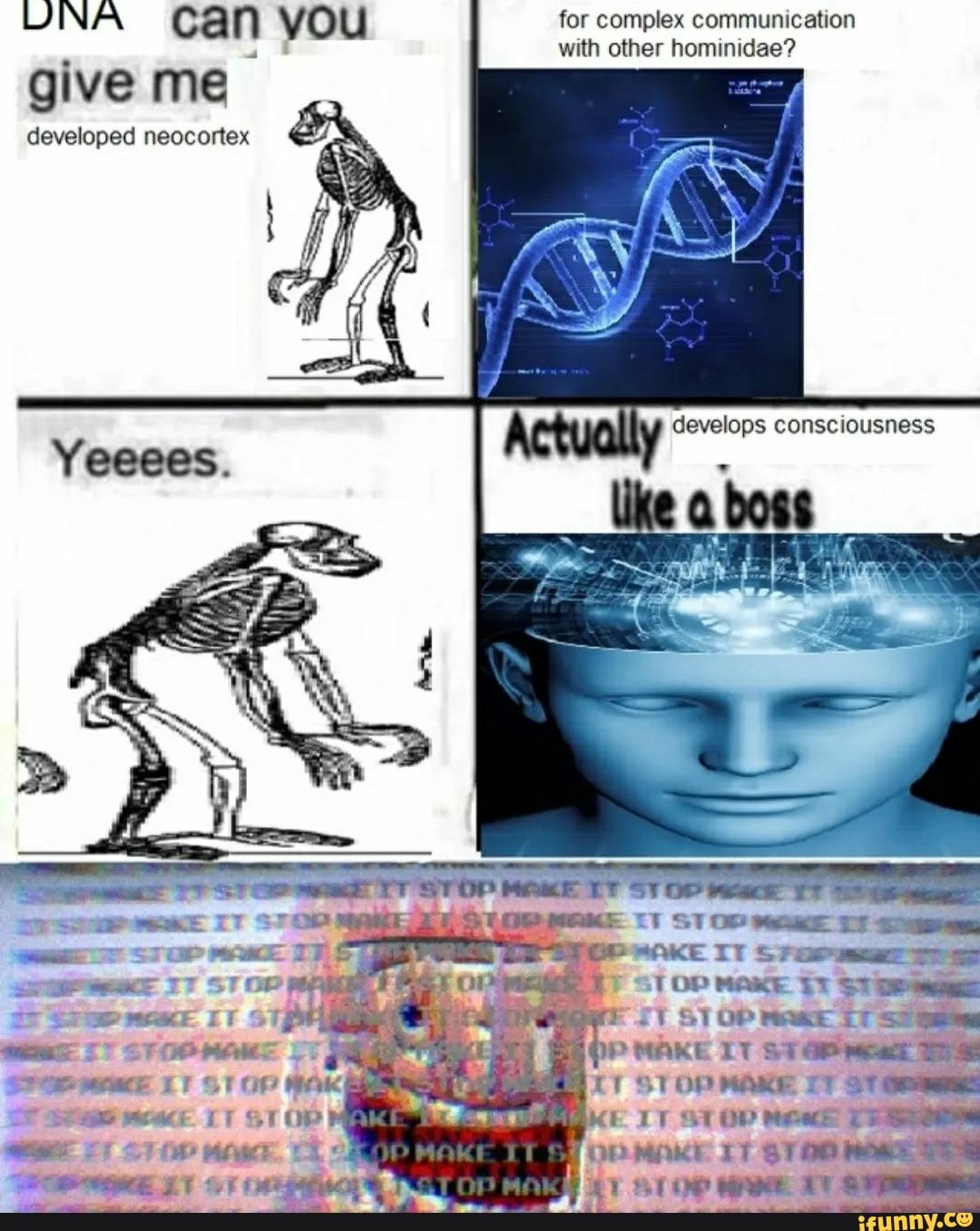 Neocortex memes. Best Collection of funny Neocortex pictures on iFunny