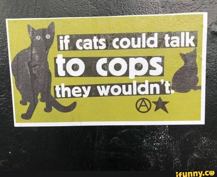 Tif memes. Best Collection of funny Tif pictures on iFunny