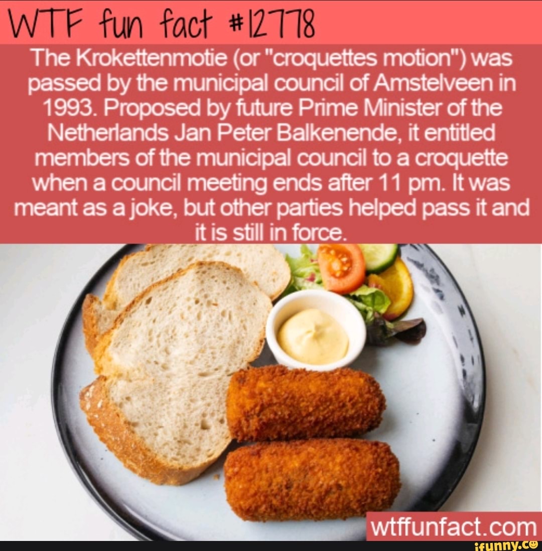 Krokettenmotie memes. Best Collection of funny Krokettenmotie pictures ...