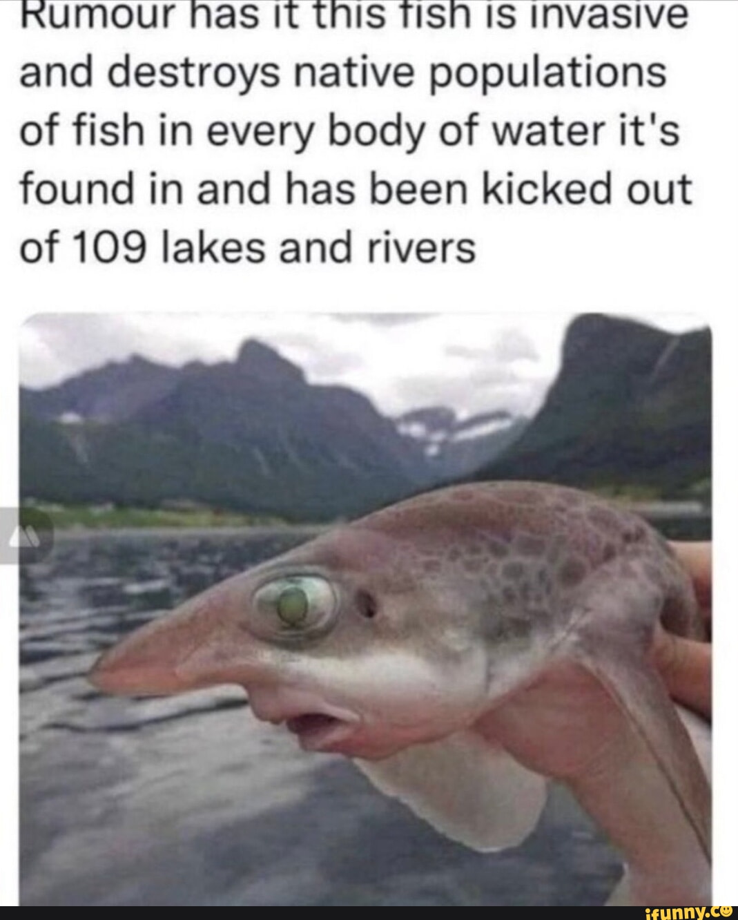 Invasive memes. Best Collection of funny Invasive pictures on iFunny