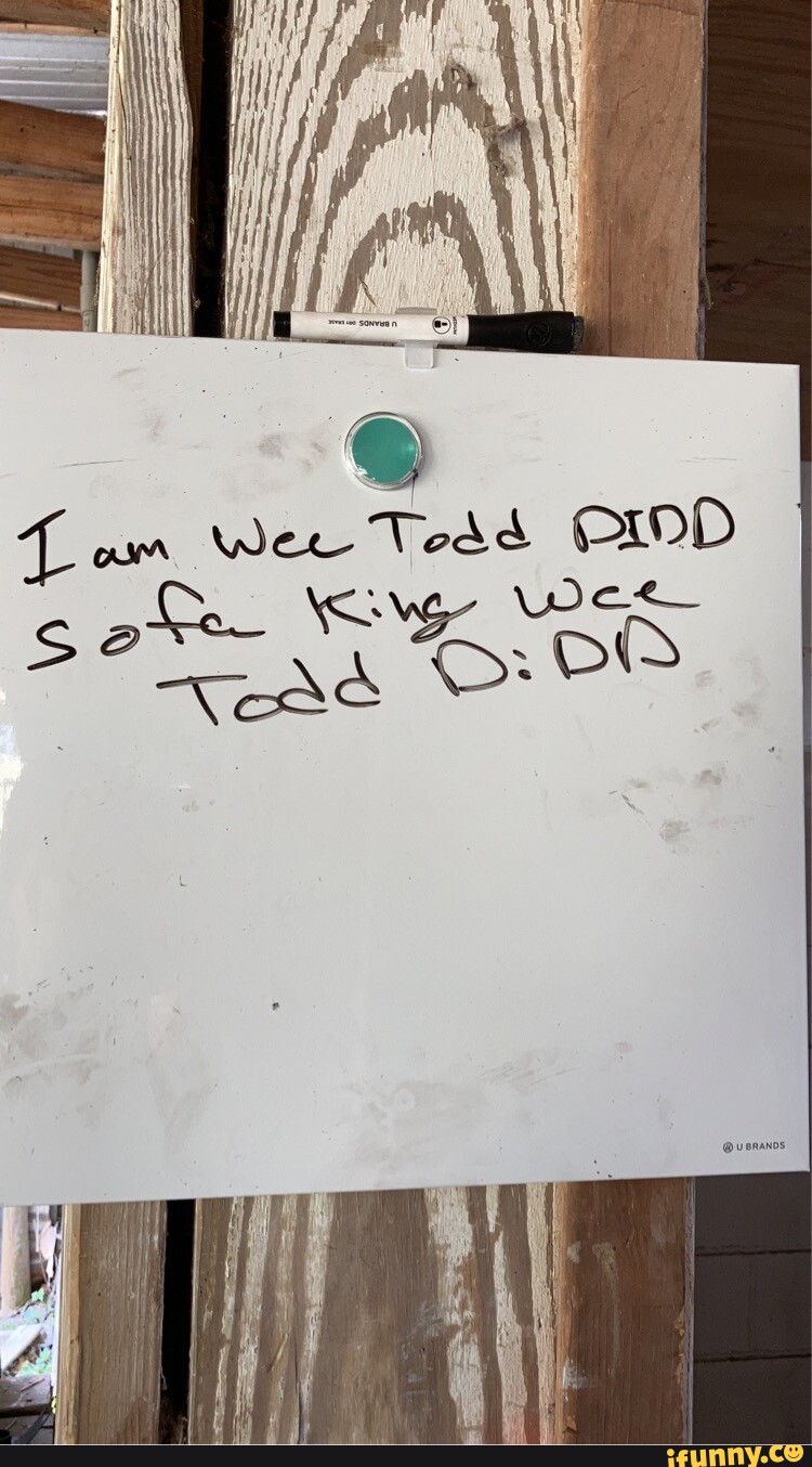 Tedd memes. Best Collection of funny Tedd pictures on iFunny